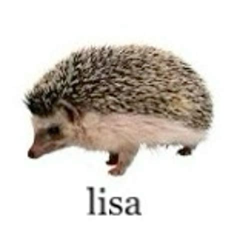 Nicolai веселые мемы с именем Николай