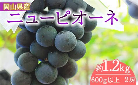 岡山県産 ニューピオーネ（1房600g以上）2房入り（wfh） 岡山県早島町 セゾンのふるさと納税