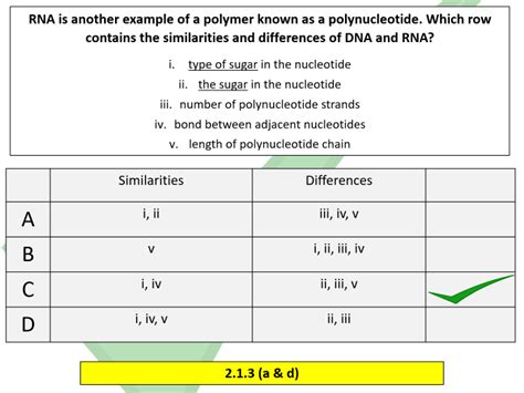 Module 2 1 3 Revision OCR A Level Biology A Teaching Resources