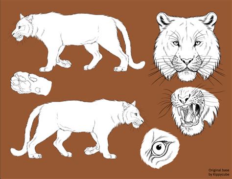 Tiger Reference Sheet Base Feral