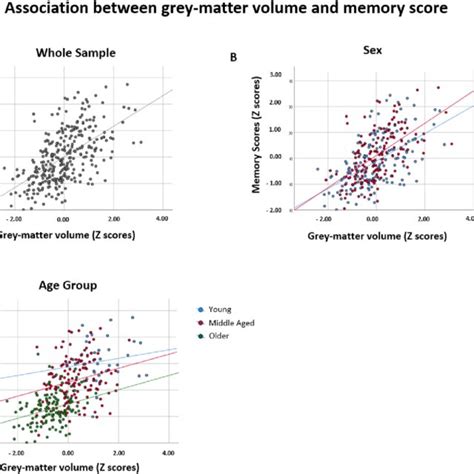 Association Between Grey Matter Volume In Frontal Lobes X And Memory Download Scientific