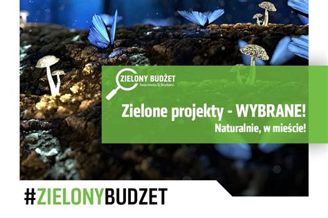 Miasto zagospodaruje kolejne przestrzenie w ramach VII edycji Zielonego Budżetu