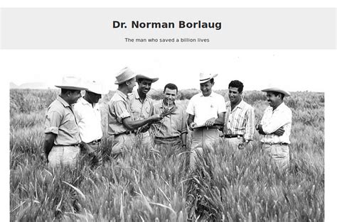 Projects To Practice Html And Css Skills For Beginners 1 Systelligent