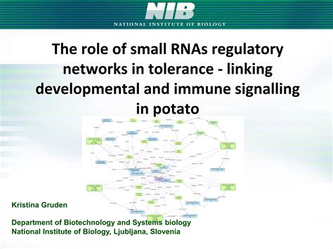 The Role Of Small Rnas Regulatory Networks In Tolerance Linking
