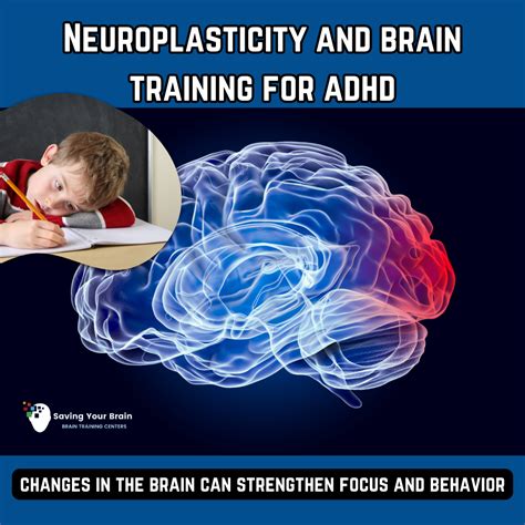 Neuroplasticity And Brain Training Ig Saving Your Brain