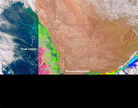 The Global Ocean Nasa Science