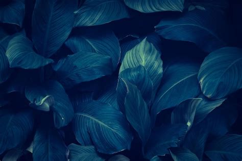 Premium Photo Abstract Green Leaf Texture Nature Background