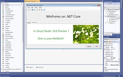 Windows Form Search