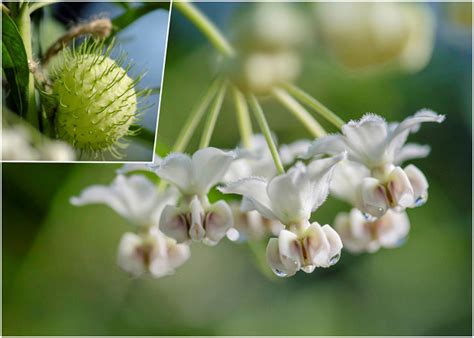 花も実もある 写真共有サイトフォト蔵