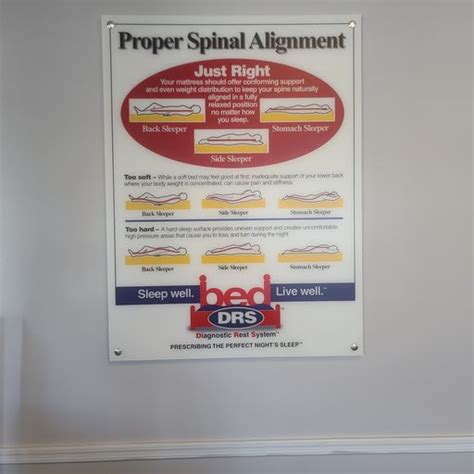 Navigating The Bed Drs Working Process A Seamless Journey To Your