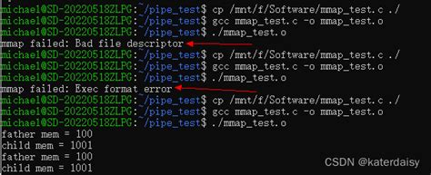 Linux WSL mmap时报错Bad file descriptor Exec format error 解决方法是加flags加