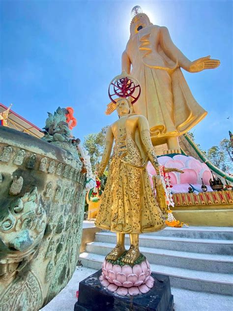 อาบน้ำจระเข้โทน วัดลำบัวลอย พิกัดสายมูที่กำลังมาแรงที่สุดในตอนนี้