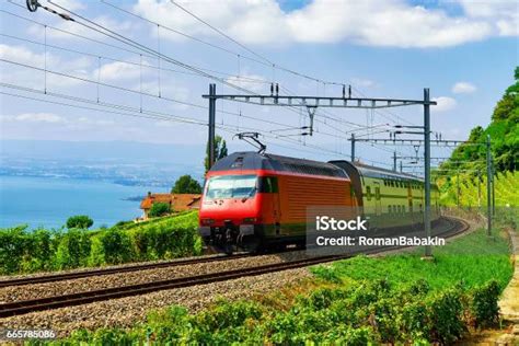 기차와 철도 Lavaux 포도 원 테라스 호수 제네바 알프스 0명에 대한 스톡 사진 및 기타 이미지 0명 Unesco 조직된 단체 계단식 경작지 Istock