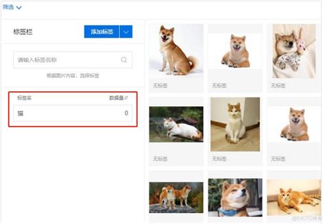 【人工智能】猫狗分类项目实战操作 黑白的技术博客 51cto博客