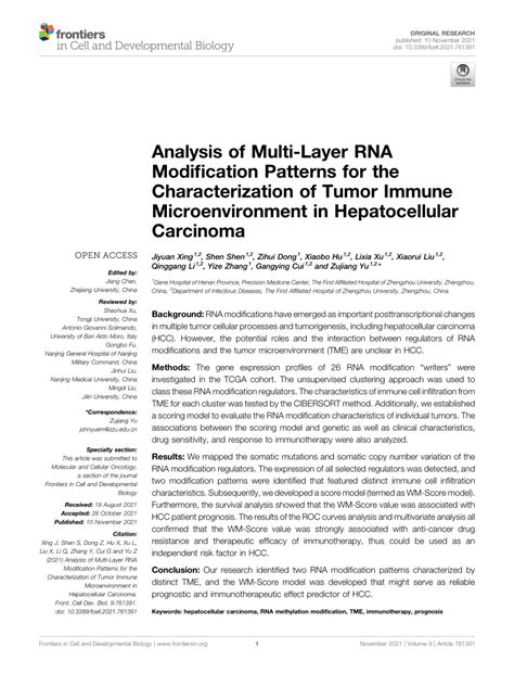 Pdf Analysis Of Multi Layer Rna Modification Patterns For The Characterization Of Tumor Immune