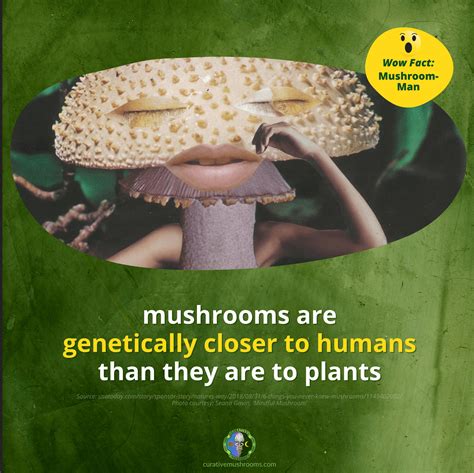 Mushroom Man Wow D Rcomedyhell
