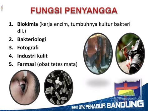 Larutan Buffer Ppt