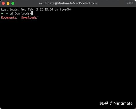 Linuxmac如何配置zsh并使用oh My Zsh？让你的终端更加好用 知乎
