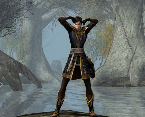 Best Cosmetic Lotro Outfits Images Outfits Cosmetics Male Elf