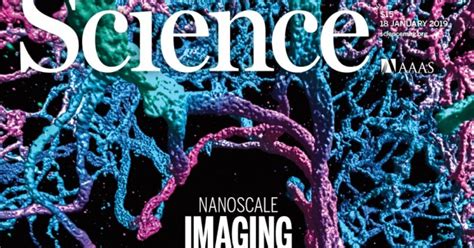 표지로 읽는 과학 초파리 뇌 속 깊은 곳까지 분자 단위로 본다