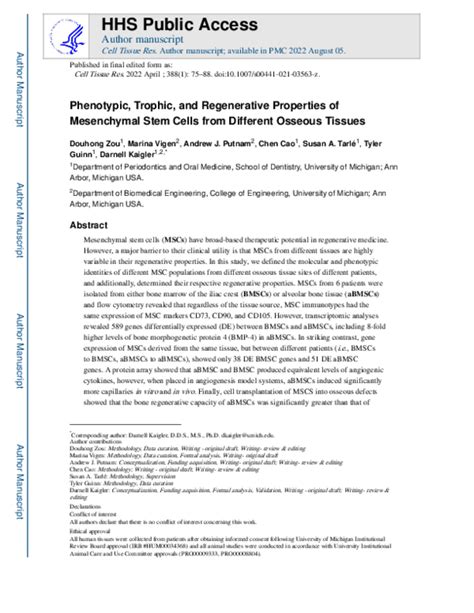 Pdf Phenotypic Trophic And Regenerative Properties Of Mesenchymal Stem Cells From Different