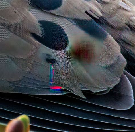 Topaz Photo Ai V130 58 By Cc63 Releases Topaz Community