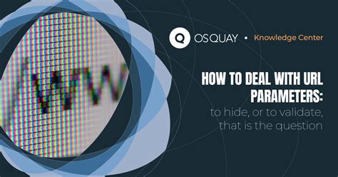 How To Deal With Url Parameters To Hide Or To Validate That Is The