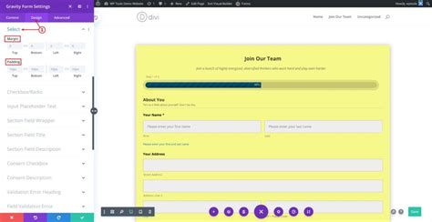 Style Gravity Forms Input Fields Input Wrapper And Input Placeholder In Divi Theme Wp Tools