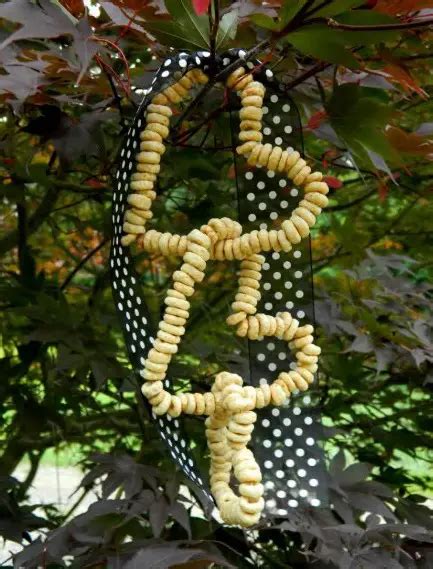 Cheerio Bird Feeder Easy Diys And Tutorials