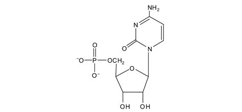 Rna Nucleotide Structure