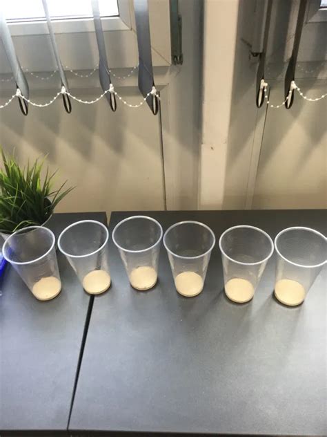 Yeast Experiment Woodbank Primary School