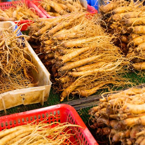Exploring Different Types Of Ginseng From Korean Red Ginseng To Ameri