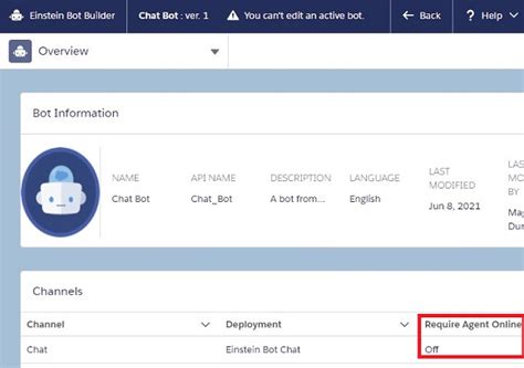 Agent Offline Issue When Einstein Bot Is Configured In Salesforce