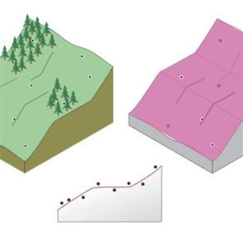 8 Schematic Overview LPI Principle Bottom And Example For LPI Download Scientific Diagram