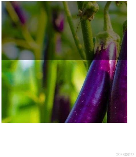 Web前端开发 动画效果前端旋转动画 Csdn博客
