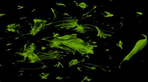 Numba High Performance Python With Cuda Acceleration Nvidia