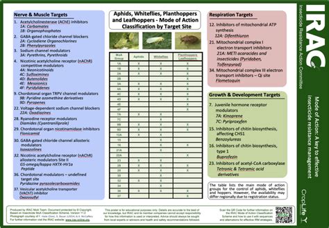 Corn Leafhopper Archives Insecticide Resistance Action Committee