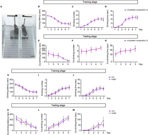 Cell Press Star Protocols