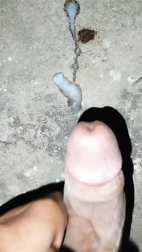 Polla XHamster