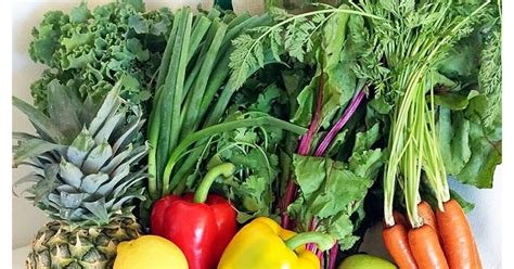 Frutas Verduras Y Hortalizas Hortalizas Caracter Sticas