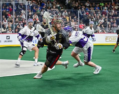Game Preview Wings Vs Panther City Philadelphia Wings Lacrosse