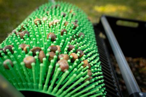 18 Push Acorn Picker Bag A Nut