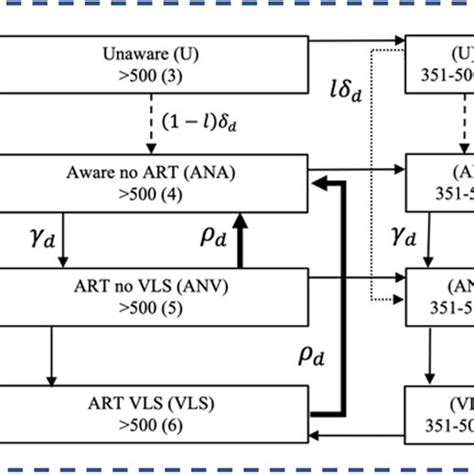 Compartmental Simulation Transition Diagram With Care Continuum And Download Scientific