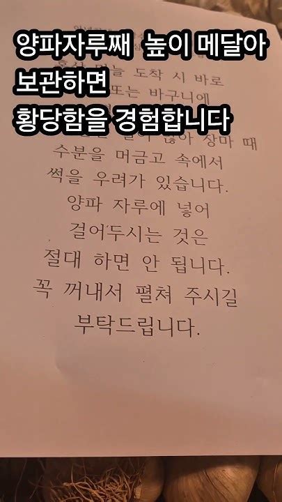 홍산마늘 썩지않게 보관하는 방법 홍산마늘 보관법 Youtube