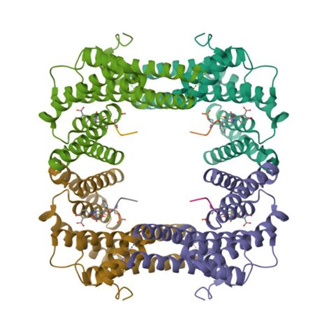 Rcsb Pdb 6tjm Crystal Structure Of An Estrogen Receptor Alpha 8 Mer