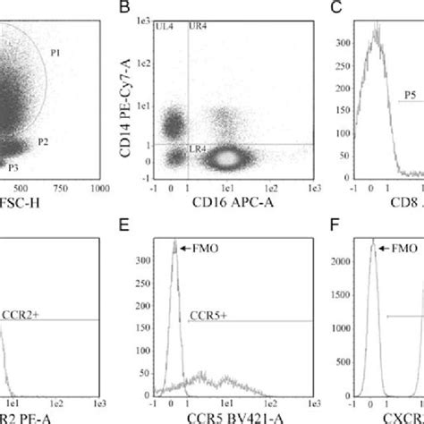 Live Cells Negative For Propidium Iodide Pi Staining Were First