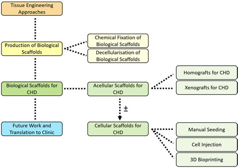 Biological Scaffolds For Congenital Heart Disease