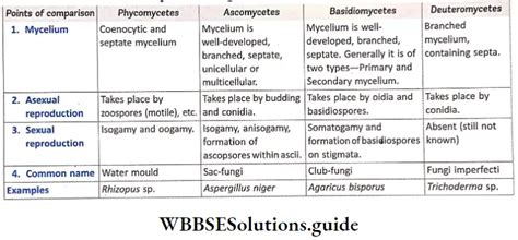 Biological Classification Important Notes Wbbse Solutions