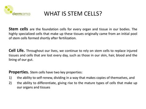 Dermama Faq On Stem Cells Ppt