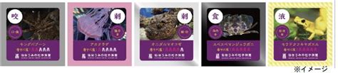 仙台うみの杜水族館で開催中の「毒展」！可愛い生き物たちの恐ろしい一面に迫る Gamepress Ai ゲームプレス